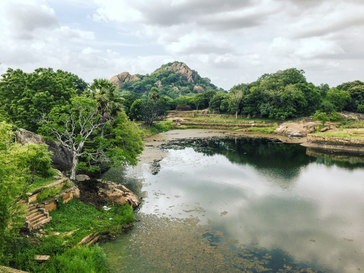 volunteering - The Mad Cow Project